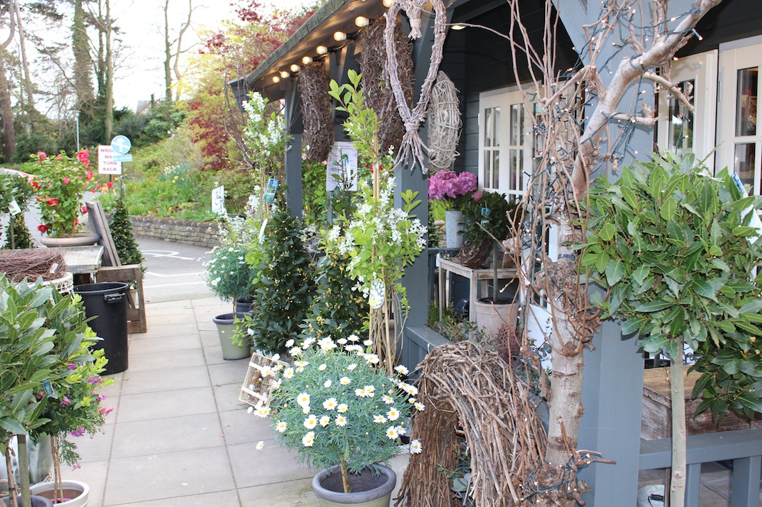 Review: Afternoon Tea at The Avoca Fernhouse Cafe, Kilmacanogue